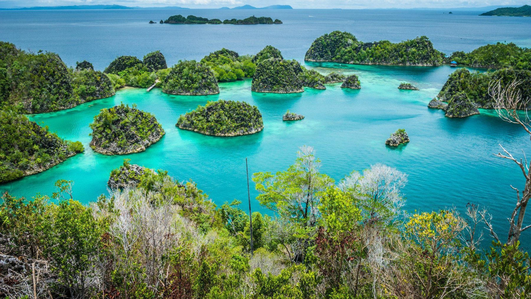 Exploring the Natural Beauty of Raja Ampat Island: Indonesia's Hidden ...
